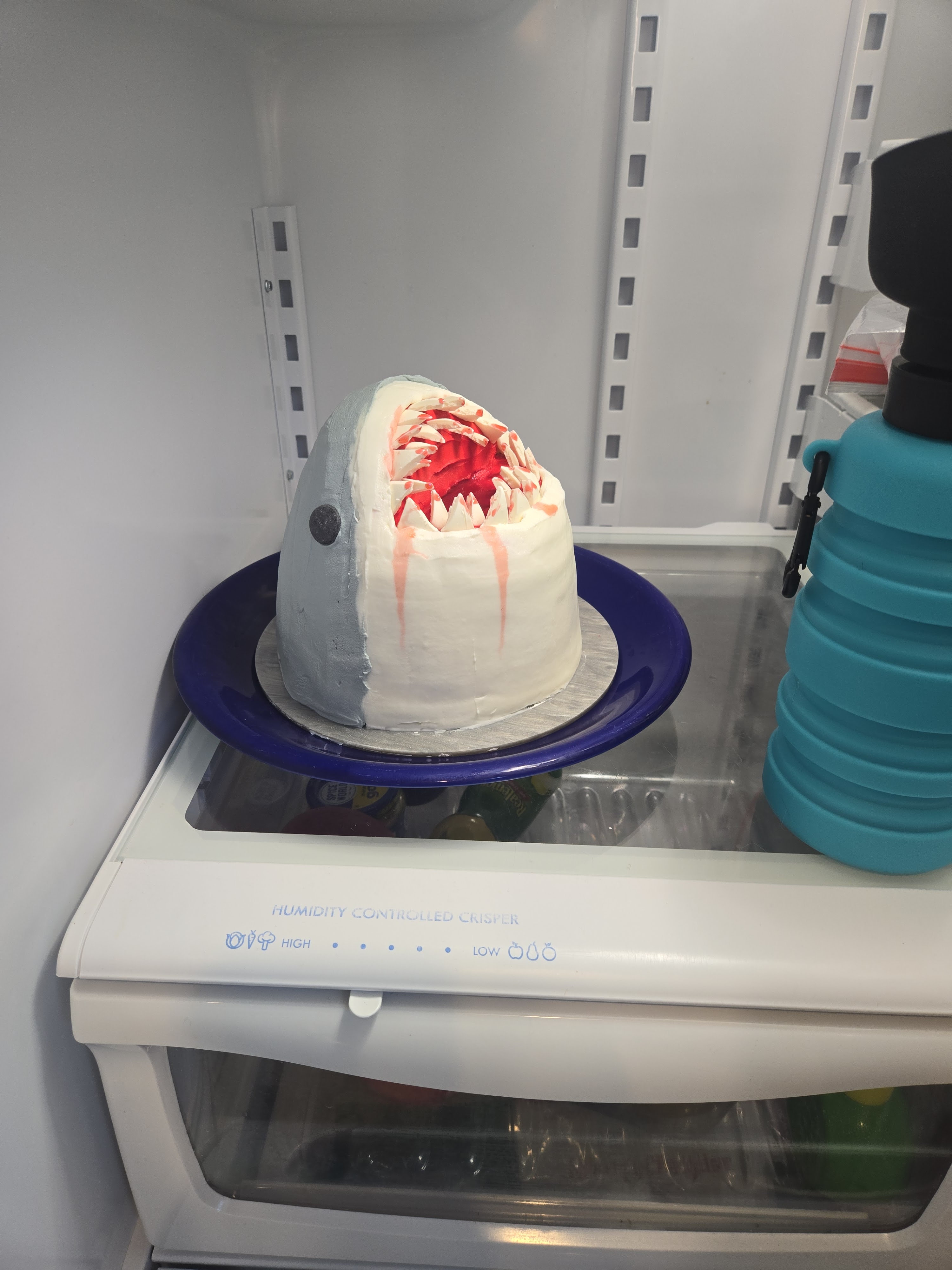 Shark Cake Oh Ha Ha! – Kate Bakes Cakes